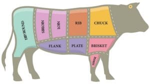 Beef Primal Cuts Guide: From Chuck to Brisket - Tenafly Kosher Deli